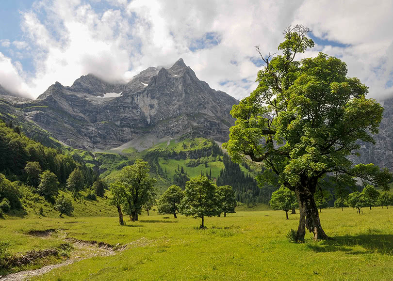 SKIDATA is ClimatePartner certified! Path to A Sustainable Future