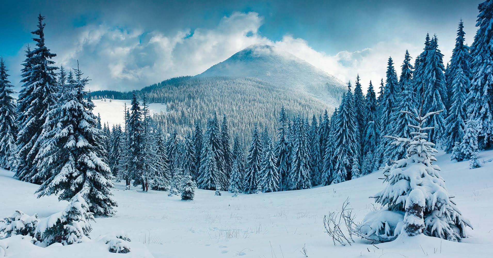 SKIDATA Blog | A piece of nature for your guests’ pocket - keycard pure